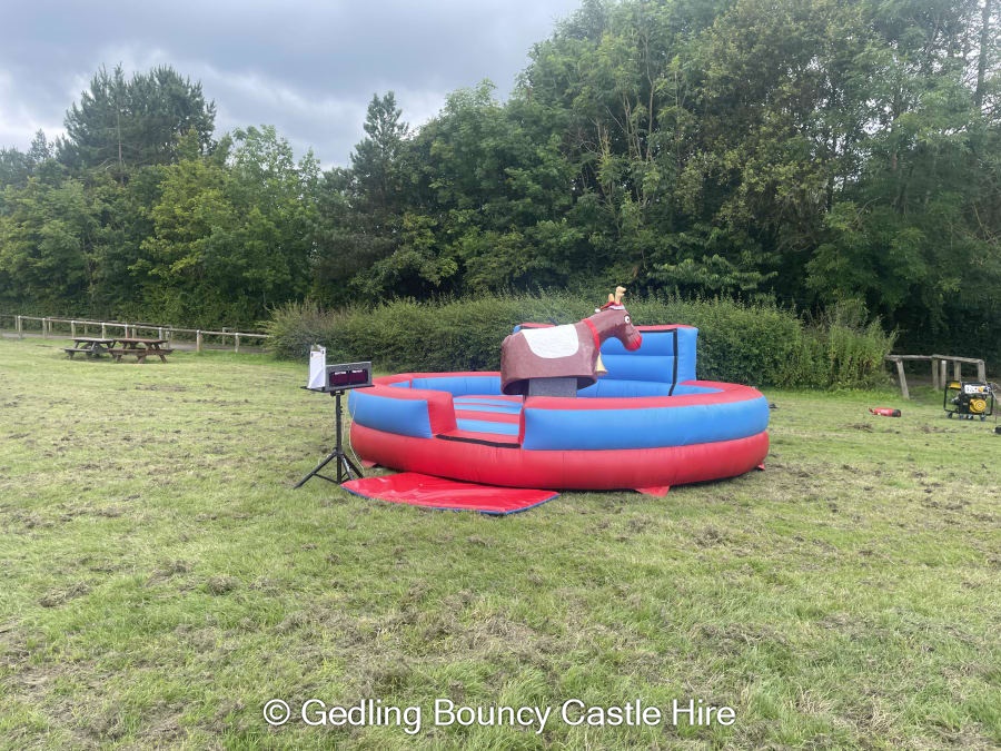 Rodeo Reindeer Hire Nottingham - Gedling Bouncy Castle Hire