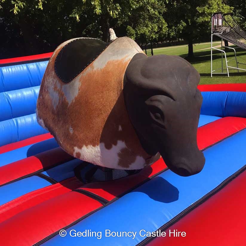 Stag Do - Nottingham Activities - Bouncy Castle & Soft Play Hire in ...